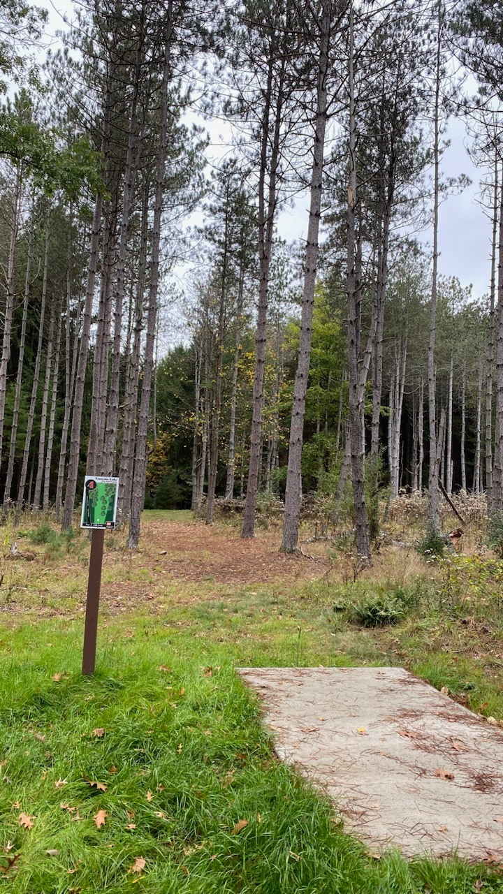 Tionesta Lake Disc Golf Course | Visit PA Great Outdoors