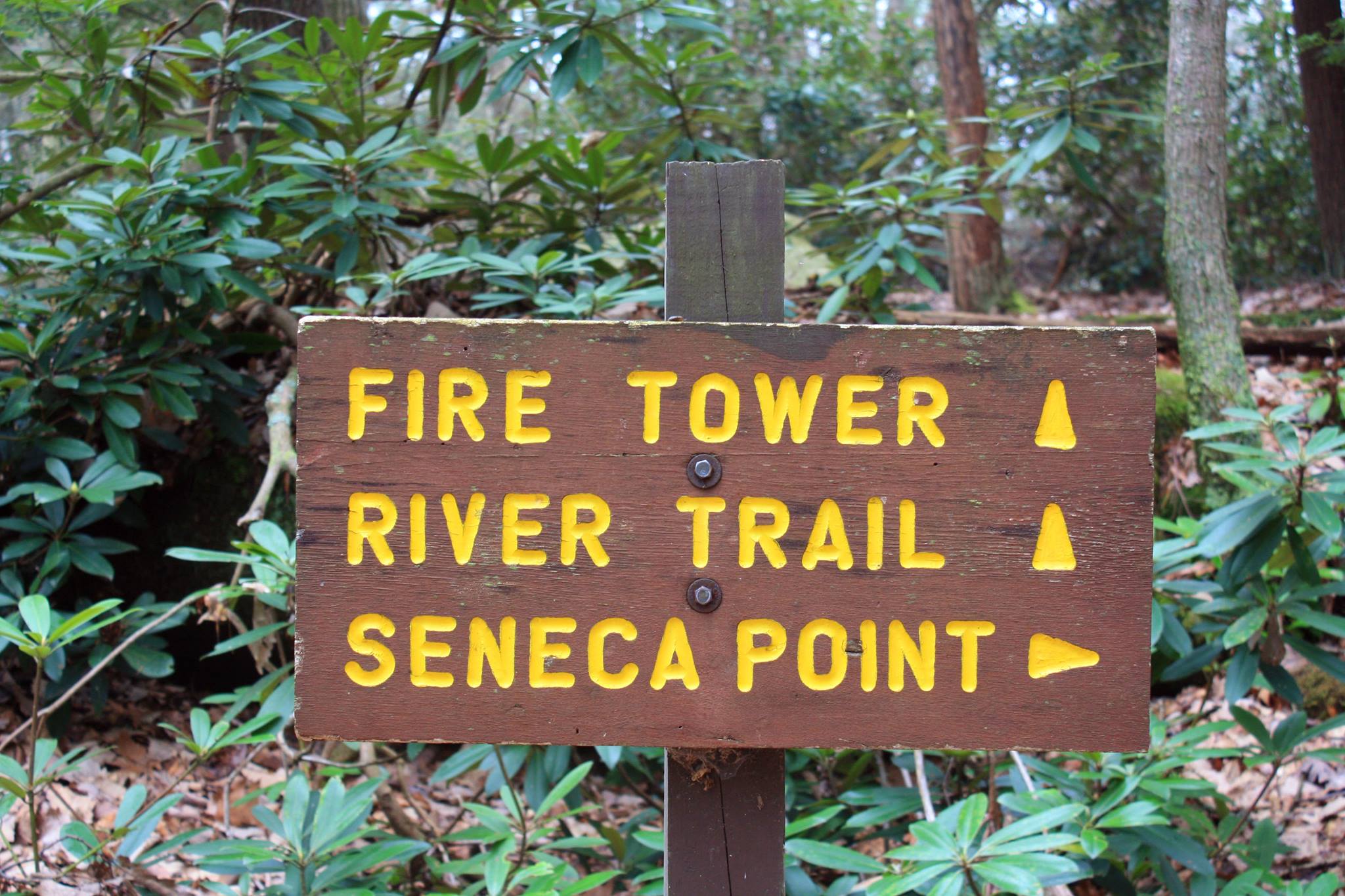 Seneca Point and Fire Tower | Visit PA Great Outdoors
