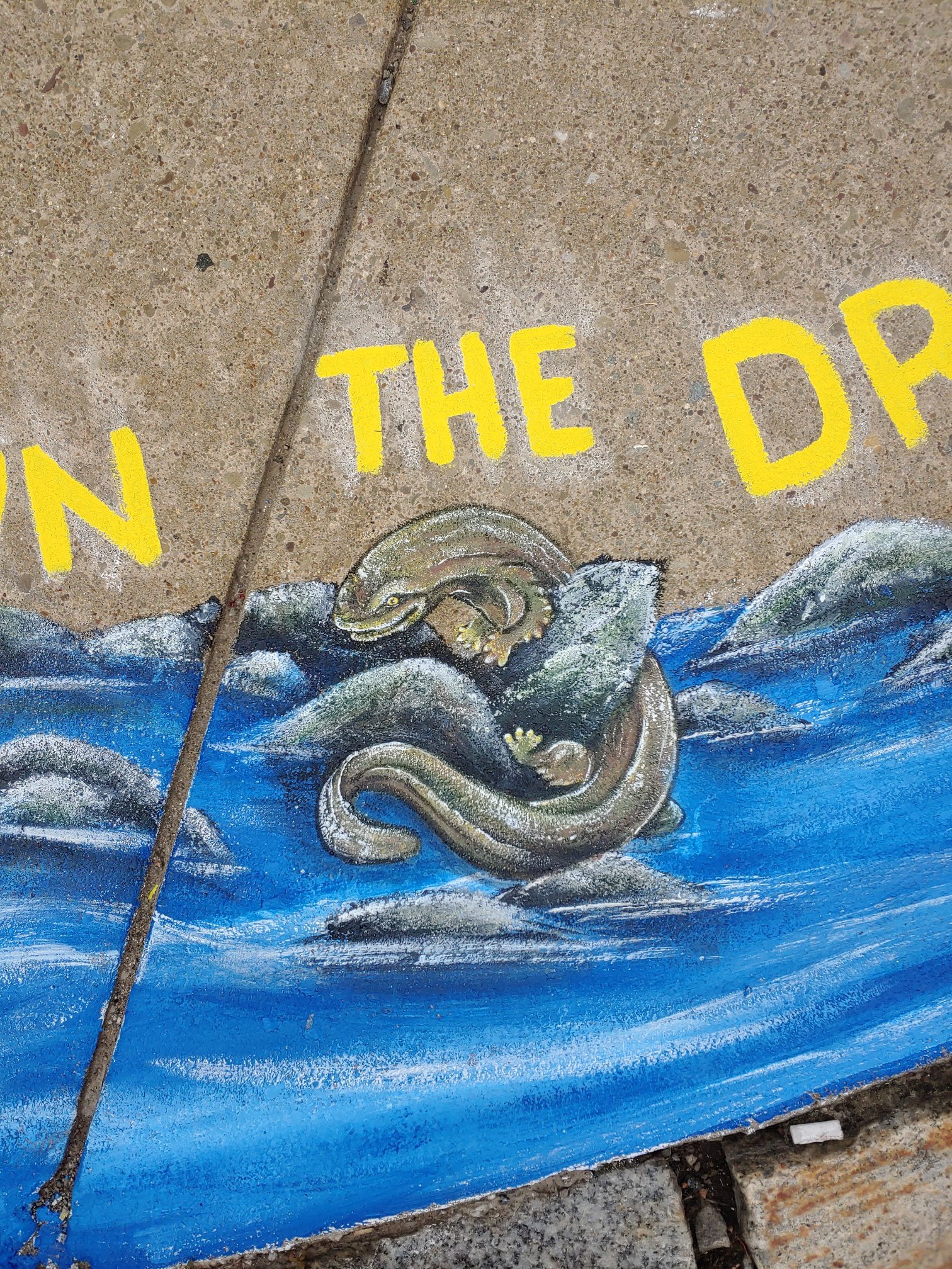 Upstream Art 2 Ridgway hellbender by Mickayla Poland | Visit PA Great ...