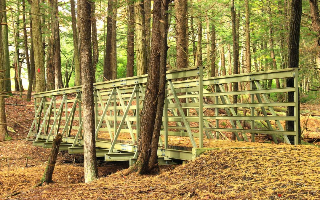 Wykoff Run Ligament Trail Bridge Quehanna Wild Area Elk State Forest ...