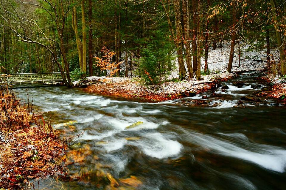 Wykoff Run Natural Area | Visit PA Great Outdoors