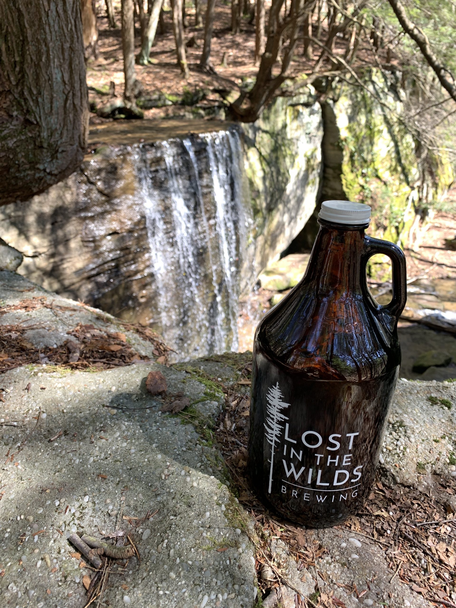 beer and waterfall Lost in the Wilds Brewing | Visit PA Great Outdoors