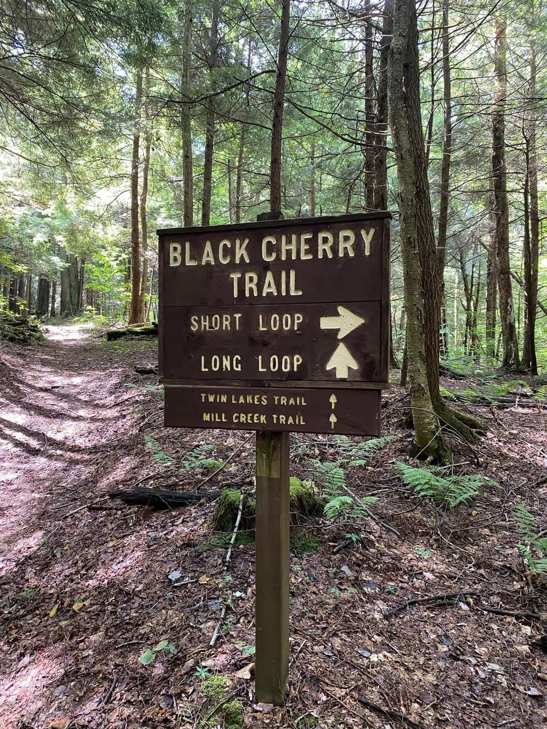Black Cherry National Recreational Trail | Visit PA Great Outdoors