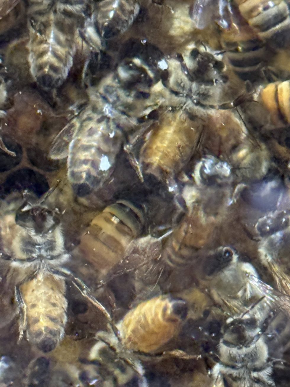 Visit PA Great Outdoors