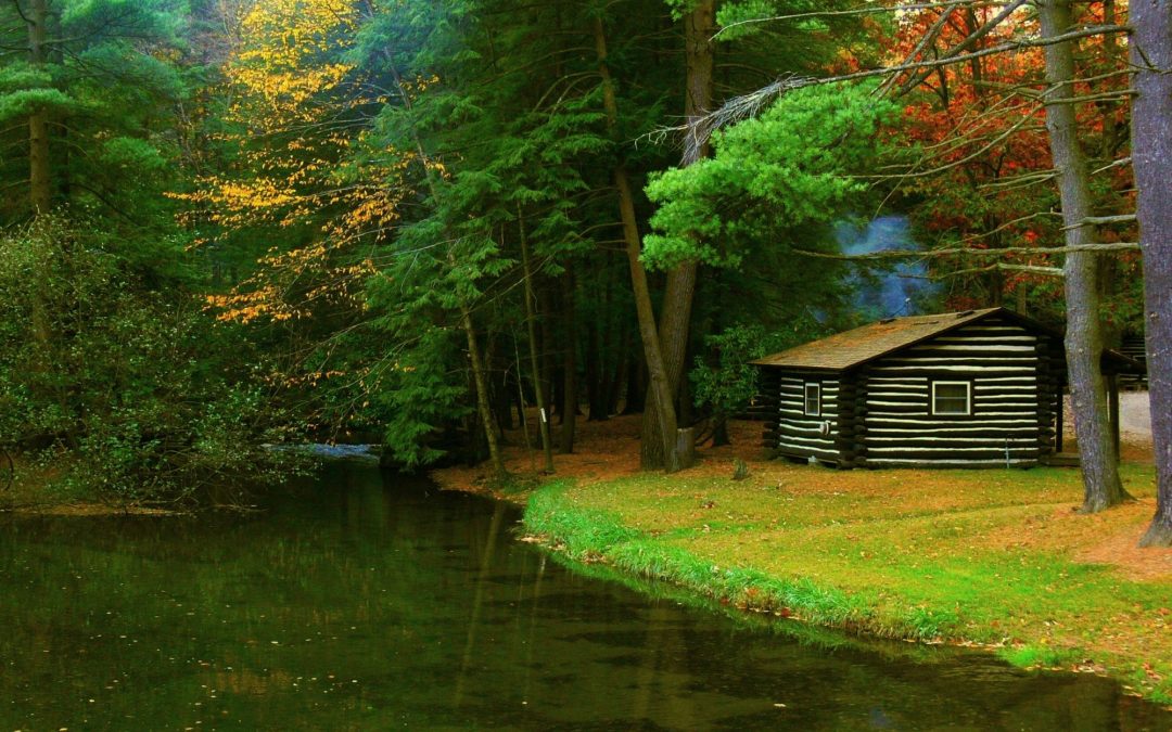 cabin Cook Forest | Visit PA Great Outdoors