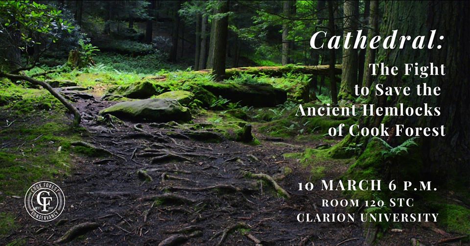 cathedral movie | Visit PA Great Outdoors