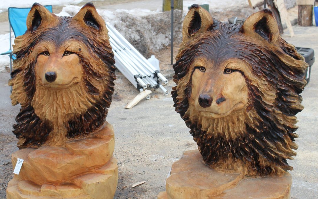 chainsaw_wildlife | Visit PA Great Outdoors