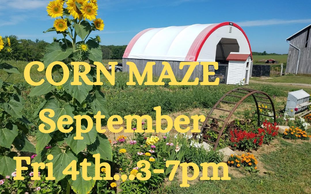 corn maze pine ridge farm | Visit PA Great Outdoors