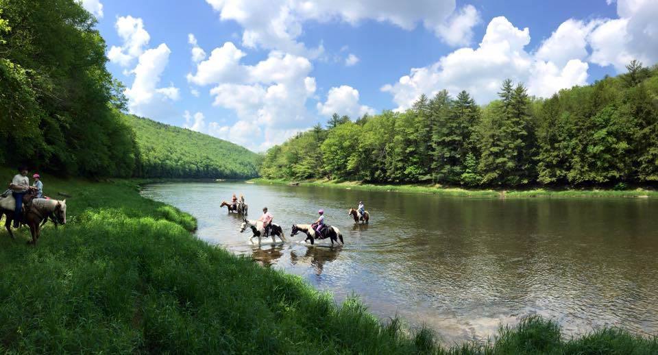 cowboy week | Visit PA Great Outdoors
