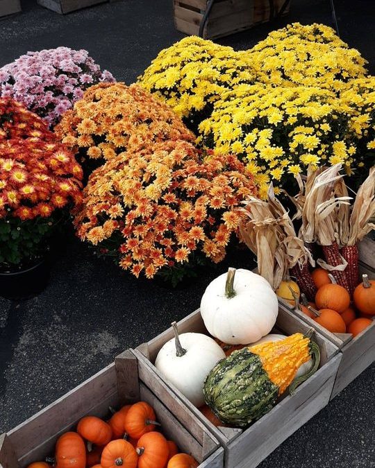 fall harvest | Visit PA Great Outdoors