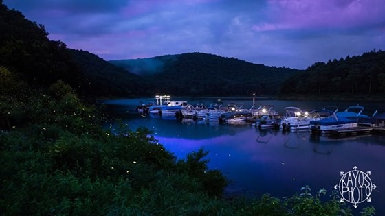 firefly boat ride | Visit PA Great Outdoors