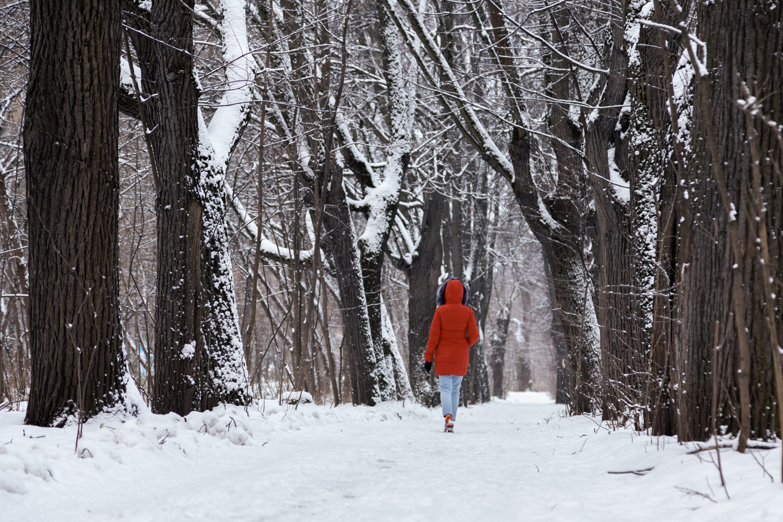 Great Winter Hikes | Visit PA Great Outdoors