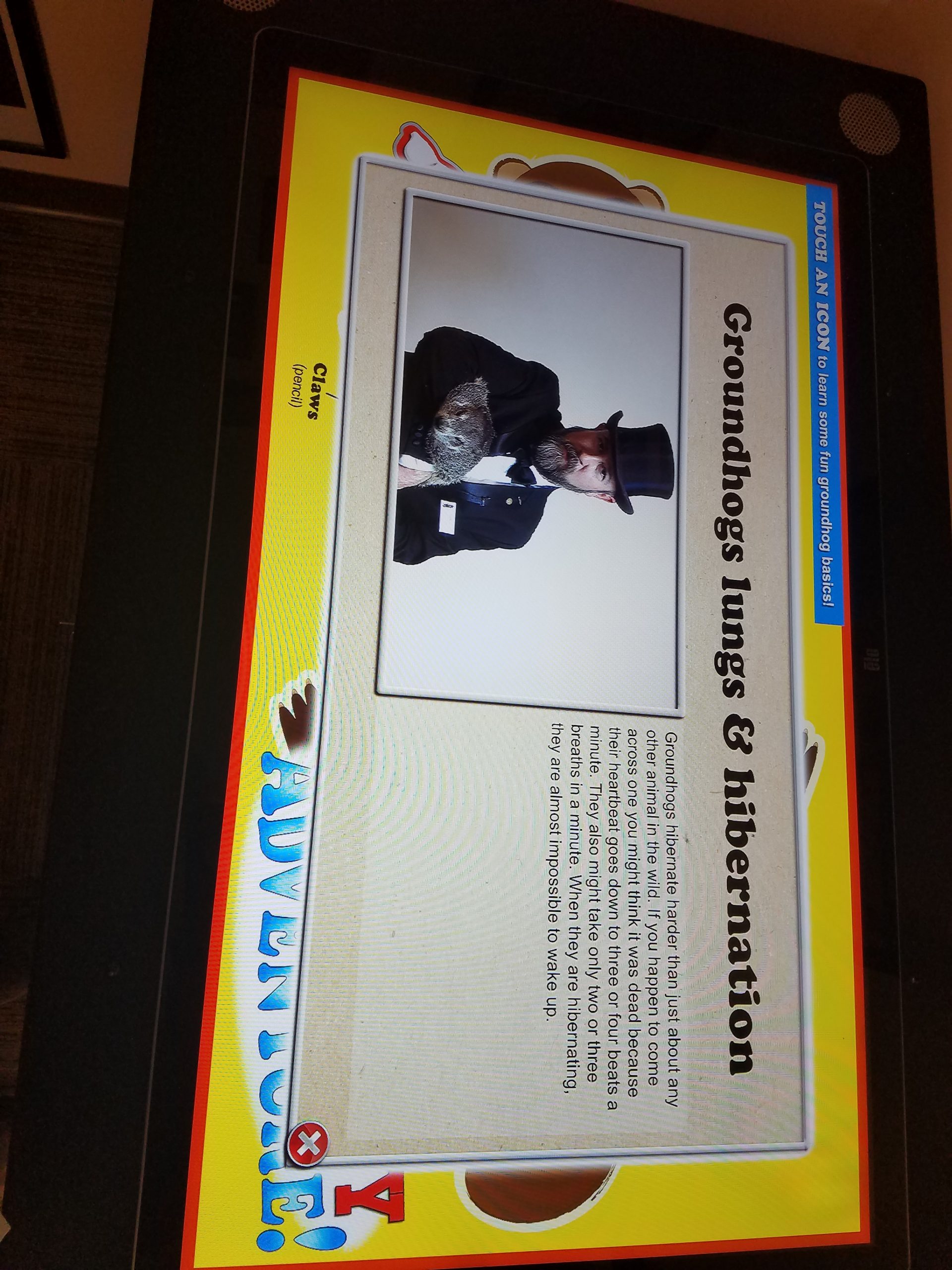 groundhog visitor center Phil game info screen | Visit PA Great Outdoors