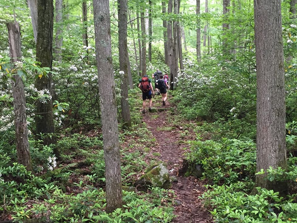 hiking challenge 2020 | Visit PA Great Outdoors