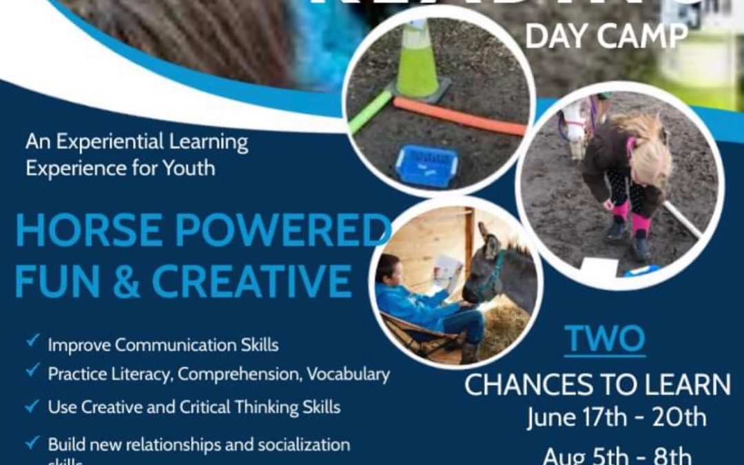 horse reading day camp | Visit PA Great Outdoors