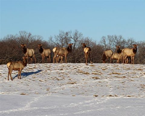 keca gun bash | Visit PA Great Outdoors