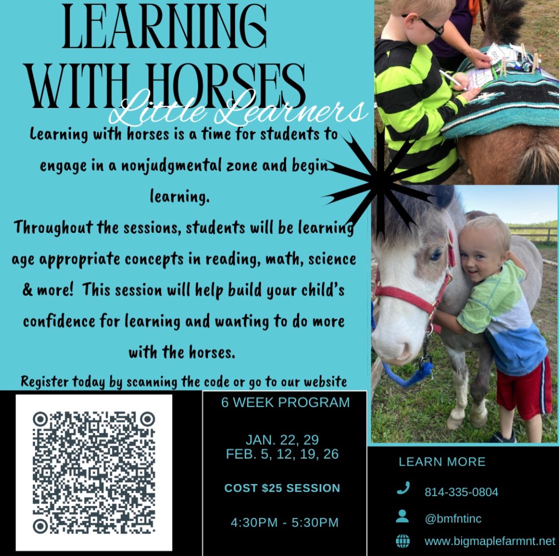 learning with horses little | Visit PA Great Outdoors