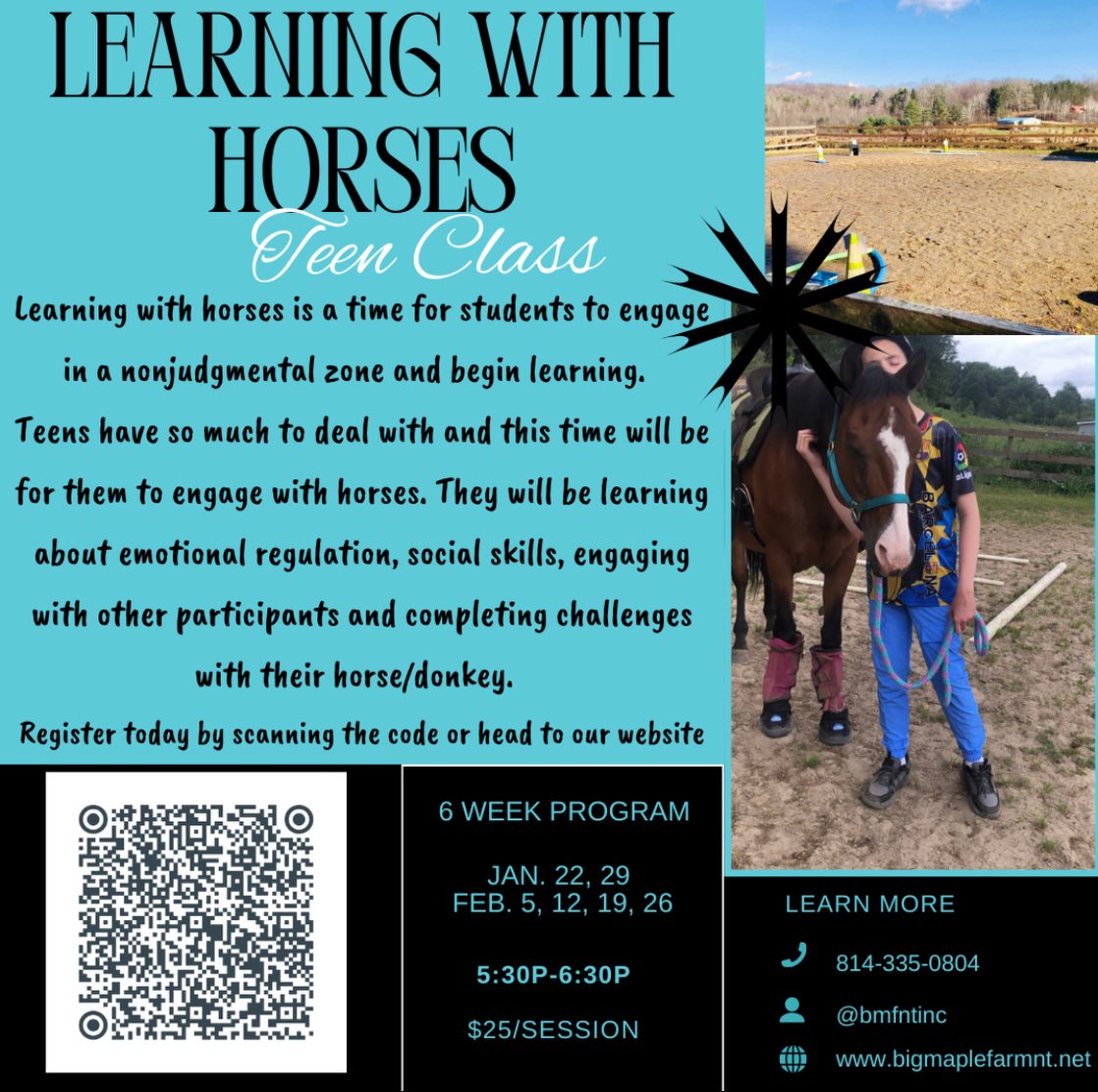 Learning with Horses Teens | Visit PA Great Outdoors