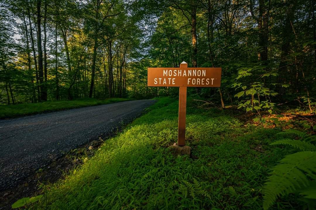 moshannon state forest sign | Visit PA Great Outdoors
