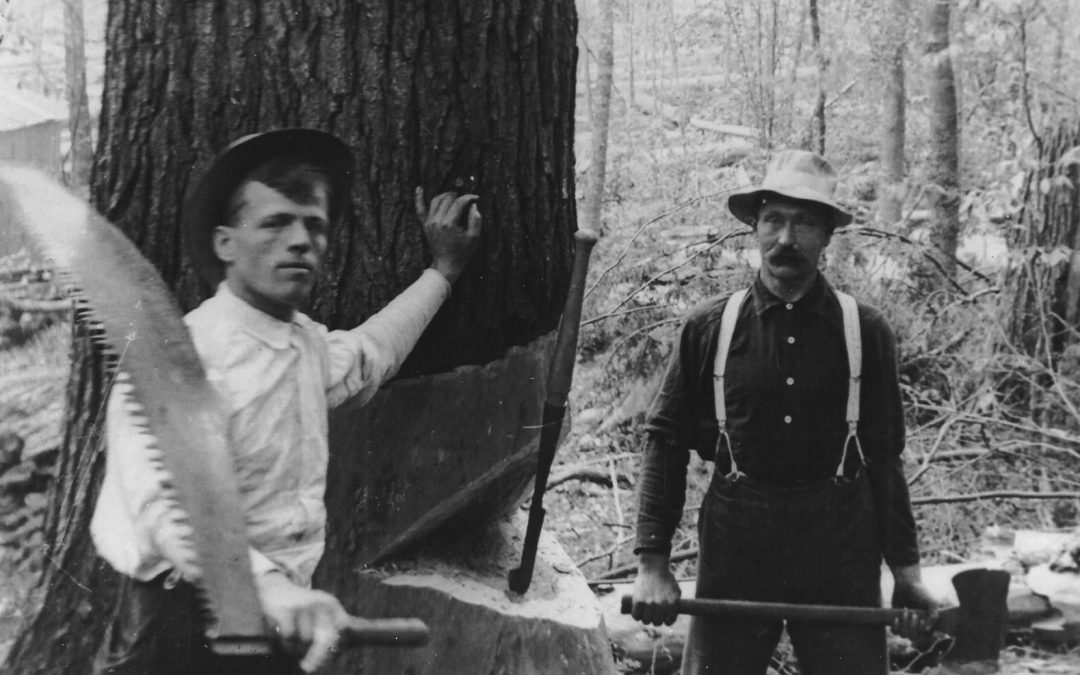 old lumberjack pic | Visit PA Great Outdoors