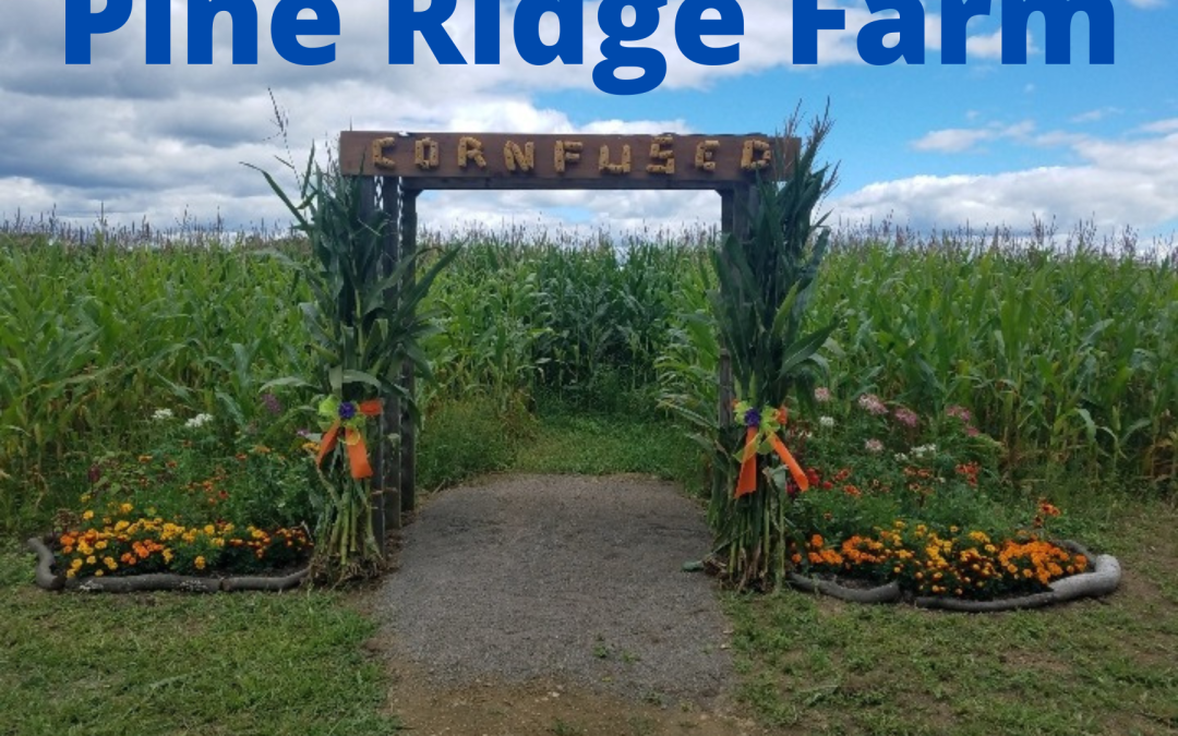 pine ridge farms | Visit PA Great Outdoors
