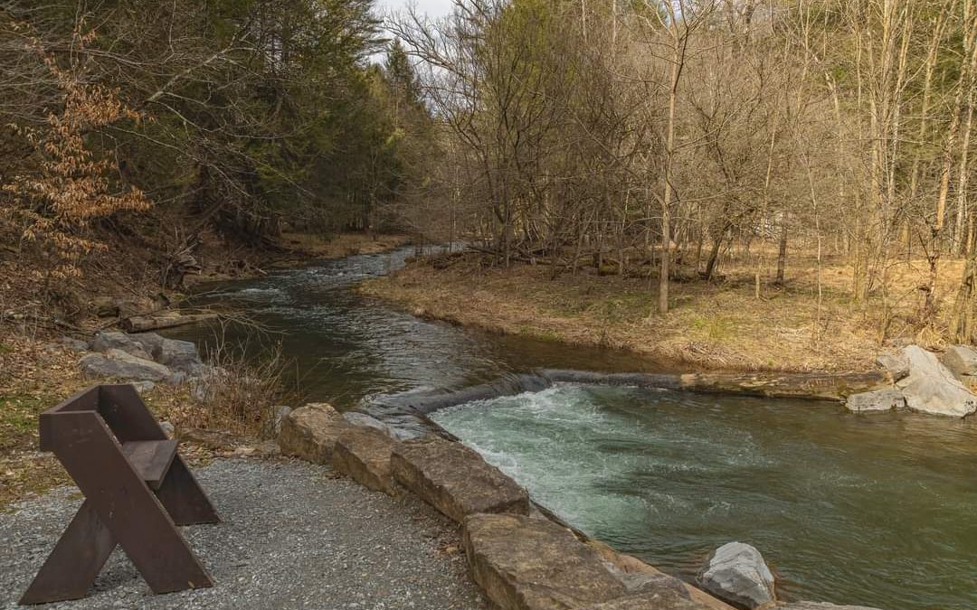 stream & Bench Pine Tree Natural Area Jeff London | Visit PA Great Outdoors