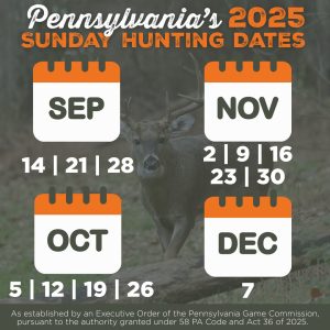 SUNDAY HUNTING IN PENNSYLVANIA | Visit PA Great Outdoors