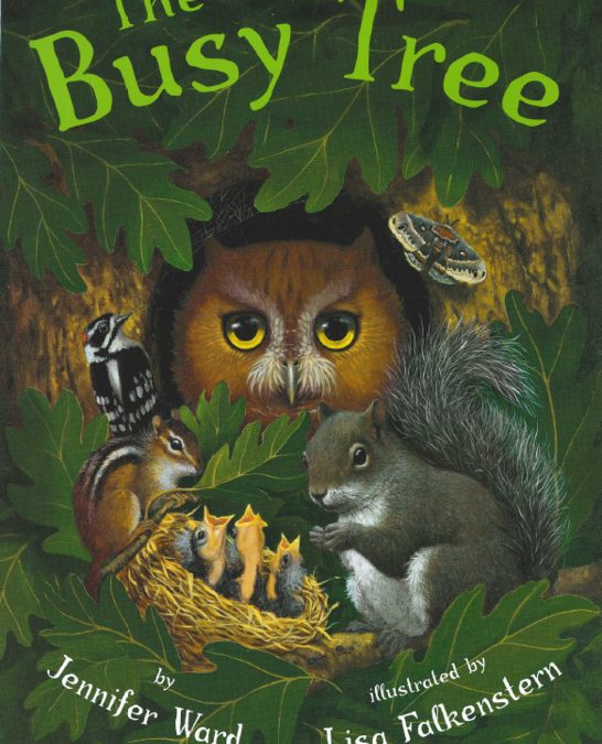 the busy tree | Visit PA Great Outdoors