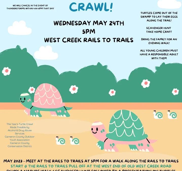 turtle crawl | Visit PA Great Outdoors